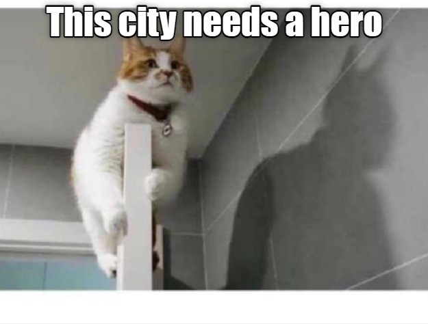 Catman! - Lolcats - lol | cat memes | funny cats | funny cat pictures ...