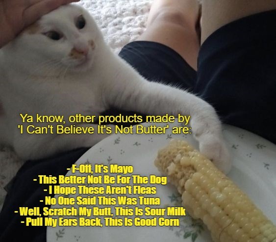 Cat-pitalism at it's best - Lolcats - lol | cat memes | funny cats ...