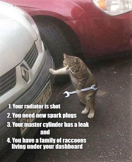 What's the problem? - Lolcats - lol | cat memes | funny cats | funny ...