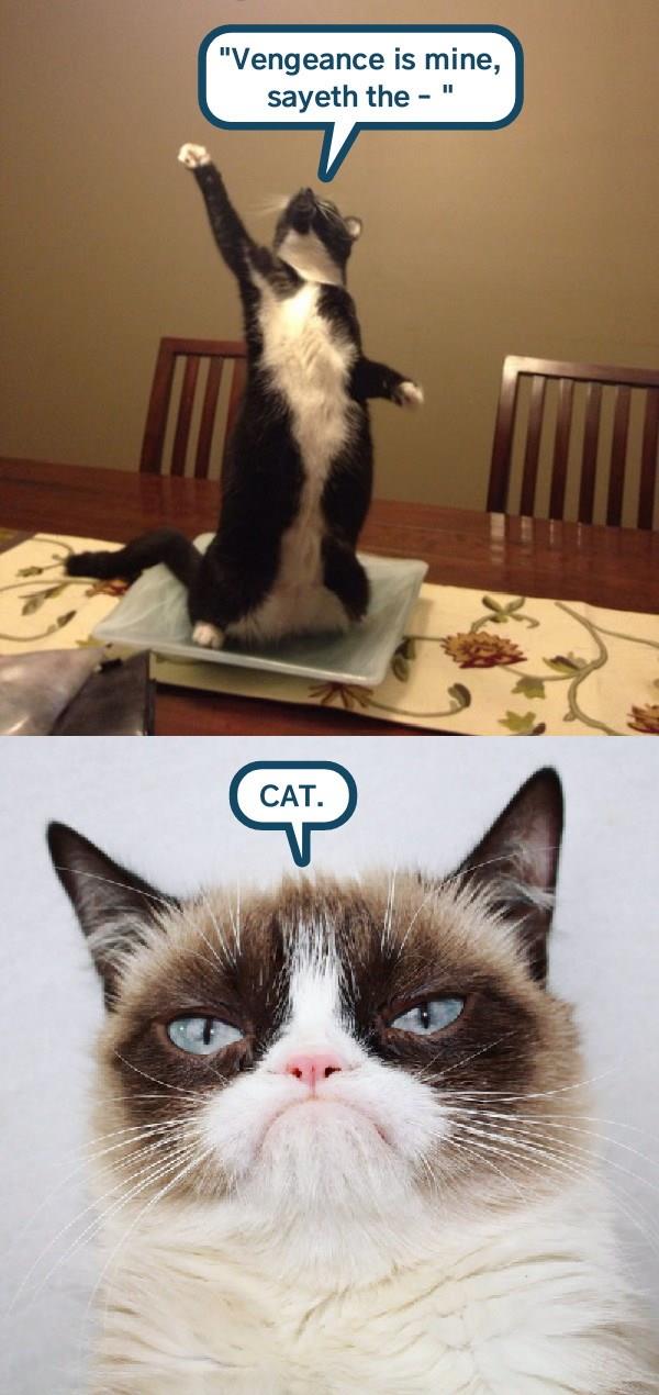 Ceiling Cat's manifestation on Earth - Lolcats - lol | cat memes ...