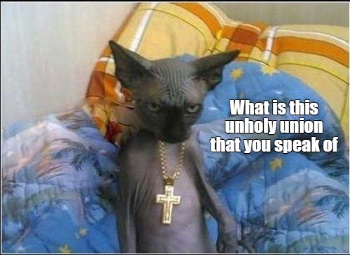 Intrigued - Lolcats - lol | cat memes | funny cats | funny cat pictures ...
