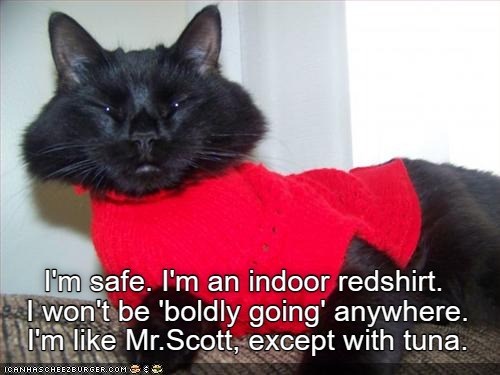 Indoor redshirt - Lolcats - lol | cat memes | funny cats | funny cat ...