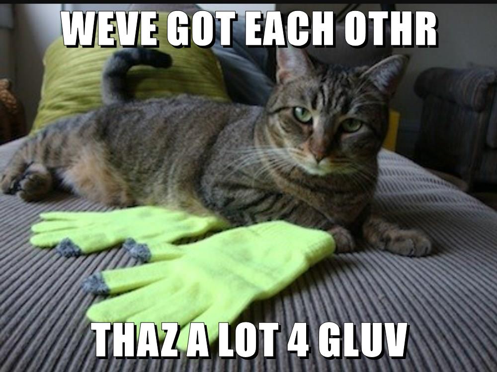 Anything 4 gluv - Lolcats - lol | cat memes | funny cats | funny cat ...