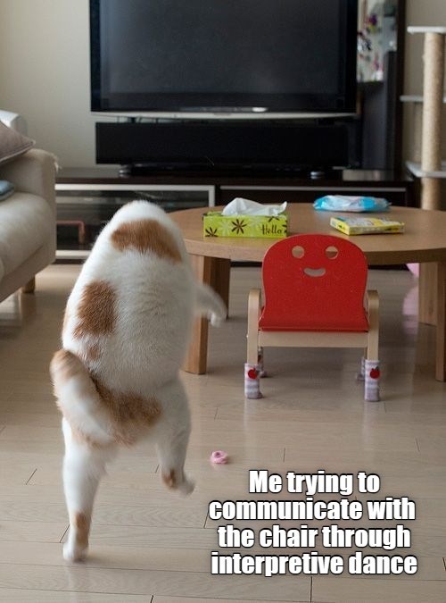 Why is the chair laughing at me - Lolcats - lol | cat memes | funny ...