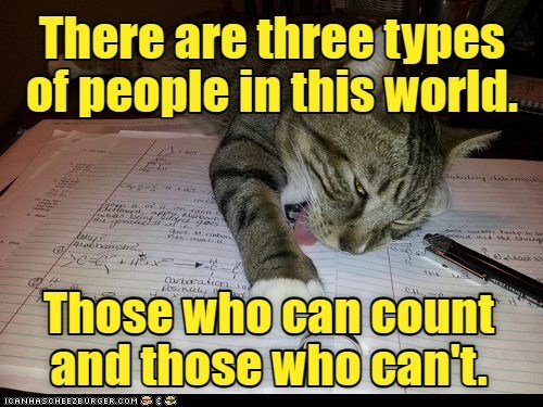 Math for Dummies. - Lolcats - lol | cat memes | funny cats | funny cat ...
