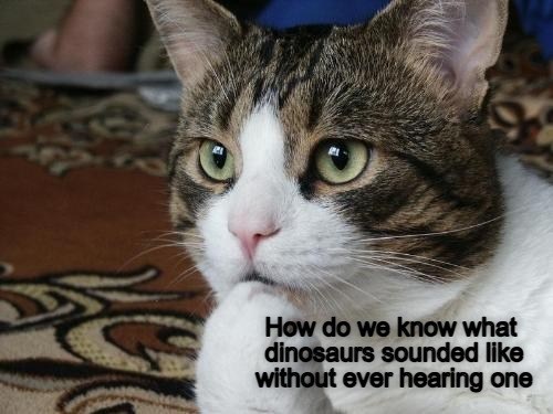 These Thoughts Keep Me Up At Night - Lolcats - lol | cat memes | funny ...