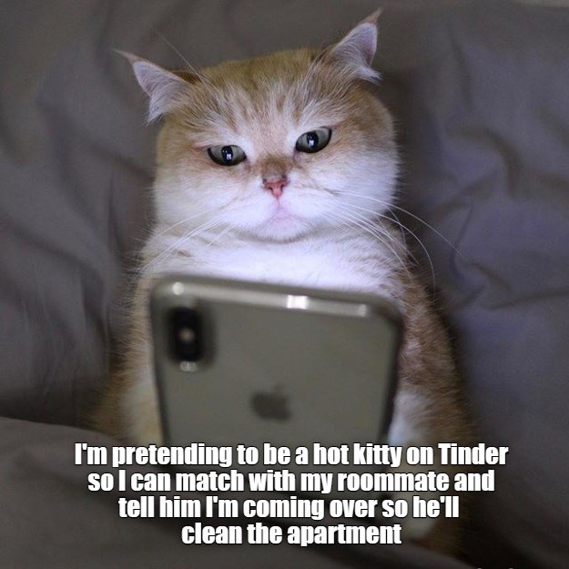 Good Thinking - Lolcats - lol | cat memes | funny cats | funny cat ...