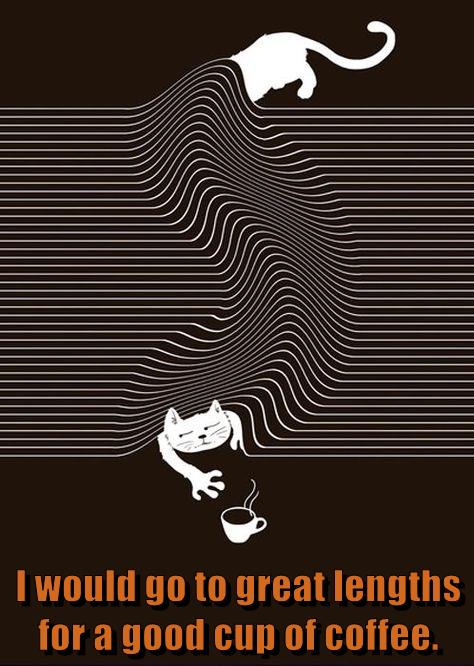 Long cat - Lolcats - lol | cat memes | funny cats | funny cat pictures ...