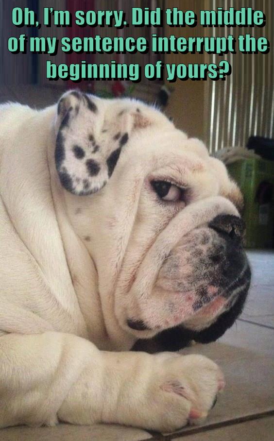 Ouch... Bulldog Side-Eye - Animal Comedy - Animal Comedy, funny animals ...