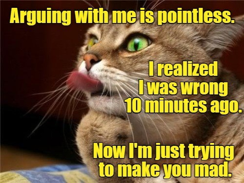 I'd like to have an argument, please. - Lolcats - lol | cat memes ...