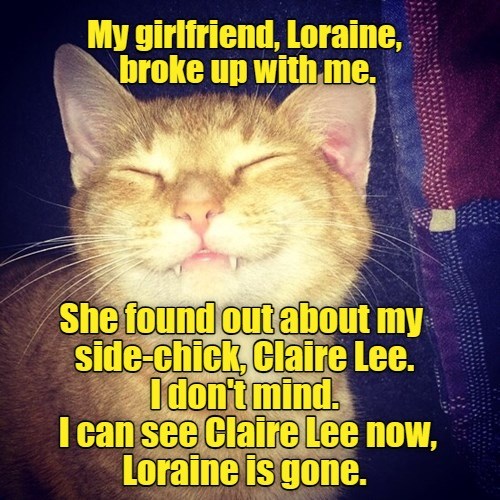 It's gonna be a bright, bright sunshiny day. - Lolcats - lol | cat ...