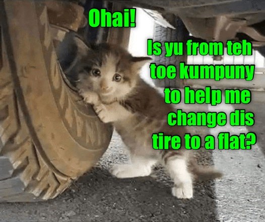 My toe-bean nail is too little to puncture this big tire. - Lolcats ...