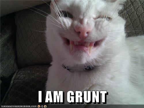 Groot? - Lolcats - lol | cat memes | funny cats | funny cat pictures ...