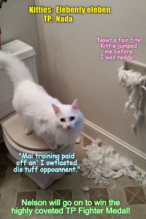 Another well earned feline victory! - Lolcats - lol | cat memes | funny ...