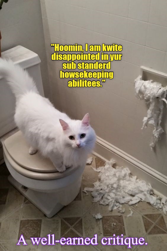 "Look at that MESS!" Placing the blame where it belongs! - Lolcats ...