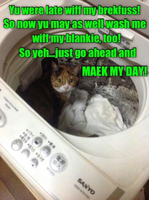My day just goes from bad to worse! - Lolcats - lol | cat memes | funny ...