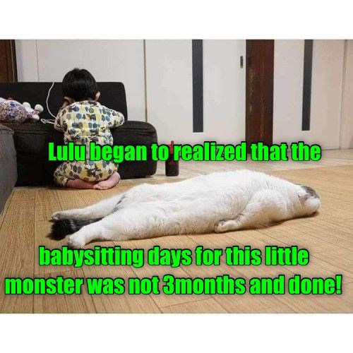 How long will this Hoomin child need supervision?!! - Lolcats - lol ...