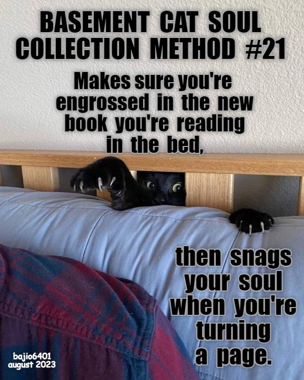 #20 was a real doozy - Lolcats - lol | cat memes | funny cats | funny ...