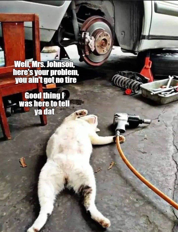 Mittens MacDougal, Master Mechanic - Lolcats - lol | cat memes | funny ...