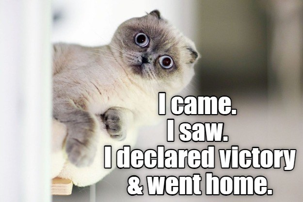 I win again! - Lolcats - lol | cat memes | funny cats | funny cat ...