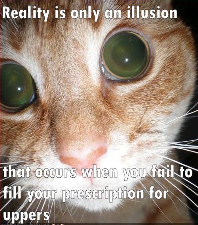Or overfill it - Lolcats - lol | cat memes | funny cats | funny cat ...