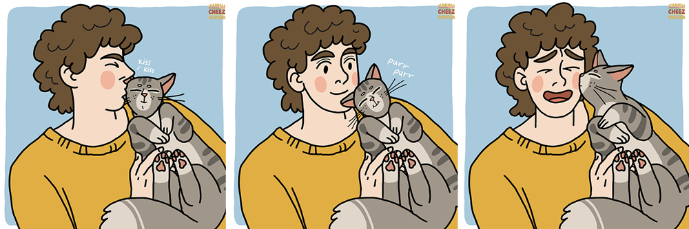 Purr purr - I Can Has Cheezburger?