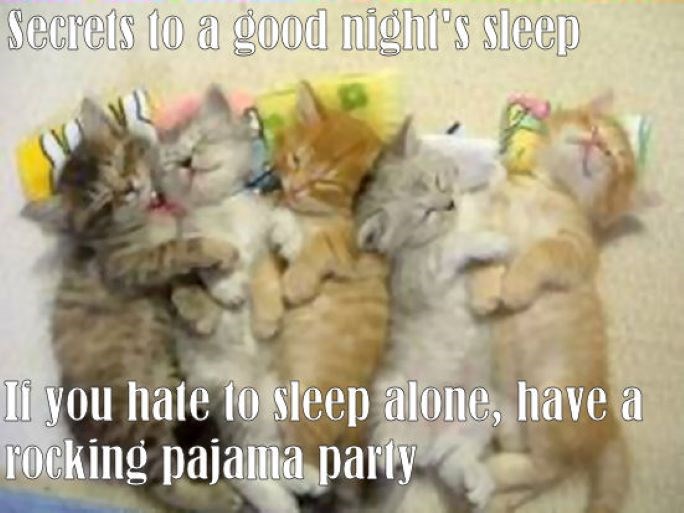 Five little bittie "Aw how sweets" - Lolcats - lol | cat memes | funny ...