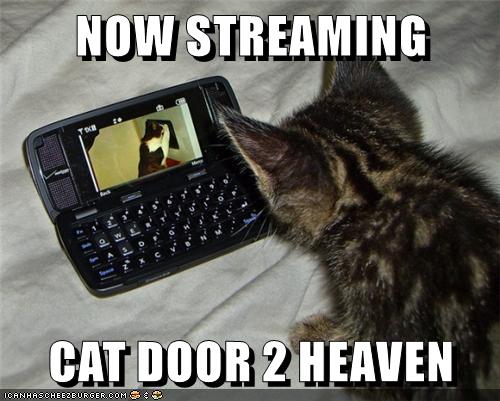 CAT DOOR 2 HEAVEN - Lolcats - lol | cat memes | funny cats | funny cat pictures with words on ...