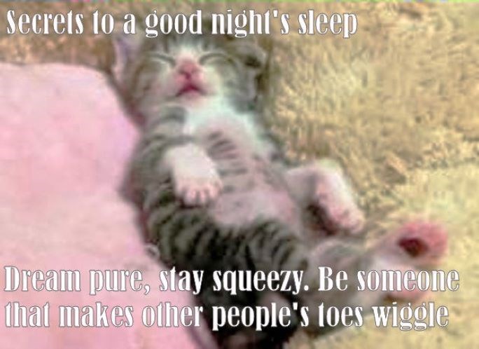 Squealing is good too - Lolcats - lol | cat memes | funny cats | funny ...