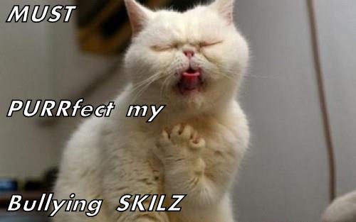 The dog is the purrfect target - Lolcats - lol | cat memes | funny cats ...