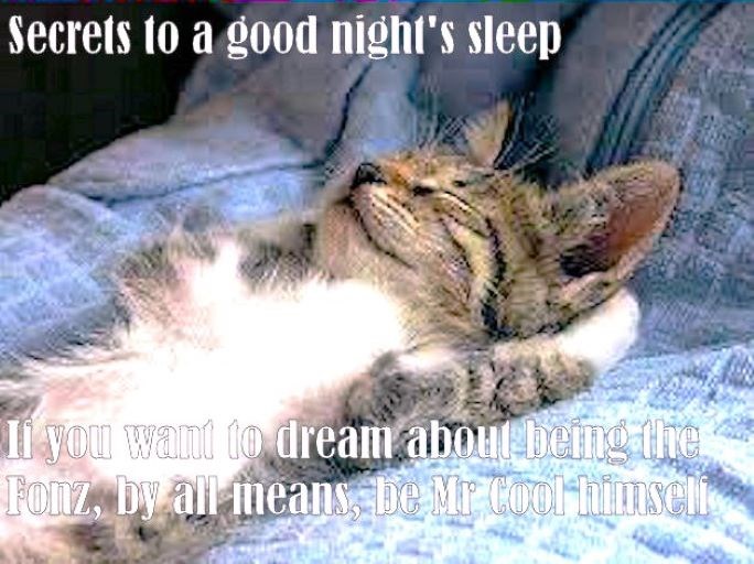 Curl up next to that motorcycle in the spare room. - Lolcats - lol ...