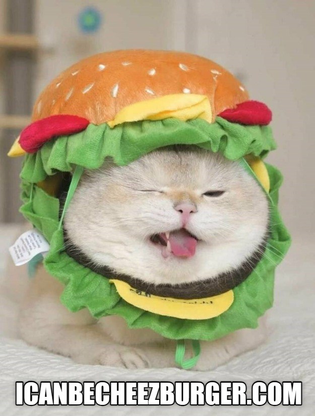 Wrong website - I Can Has Cheezburger?