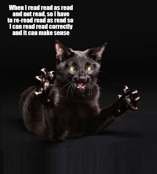 My Head Hurts Now - Lolcats - lol | cat memes | funny cats | funny cat ...