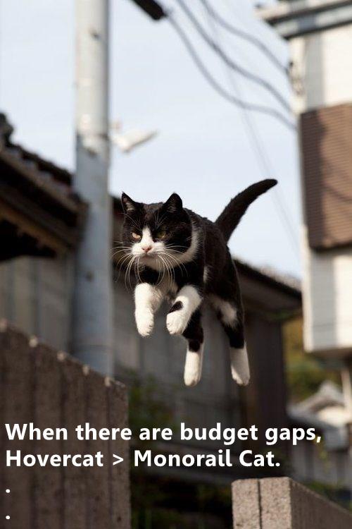 With new technology - Lolcats - lol | cat memes | funny cats | funny ...