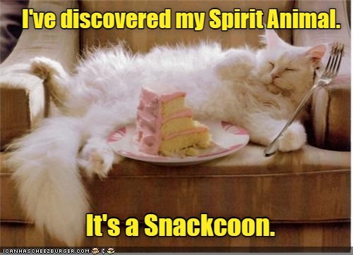 Feed the inner beast. - Lolcats - lol | cat memes | funny cats | funny ...