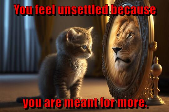 Dream big - Lolcats - lol | cat memes | funny cats | funny cat pictures ...