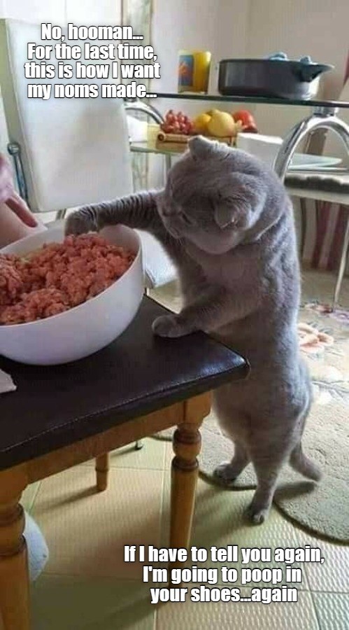 Repeated mistakes are a choice - Lolcats - lol | cat memes | funny cats ...