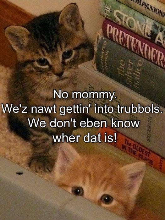 Sweet innocent until proven guilty kitties. - Lolcats - lol | cat memes ...