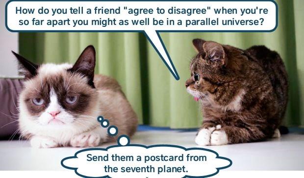 GrumpyCat, subtle as a brick - Lolcats - lol | cat memes | funny cats ...