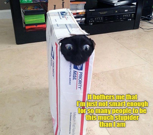 People From Jupiter Are More Stupider - Lolcats - lol | cat memes ...