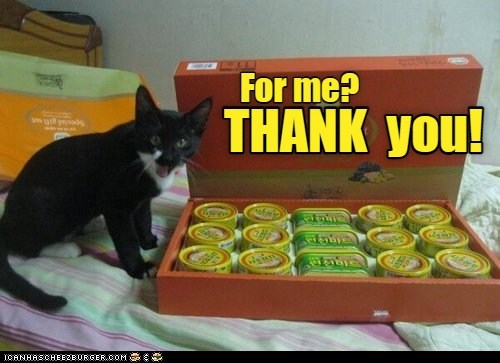 Thank you so much! - Lolcats - lol | cat memes | funny cats | funny cat pictures with words on ...