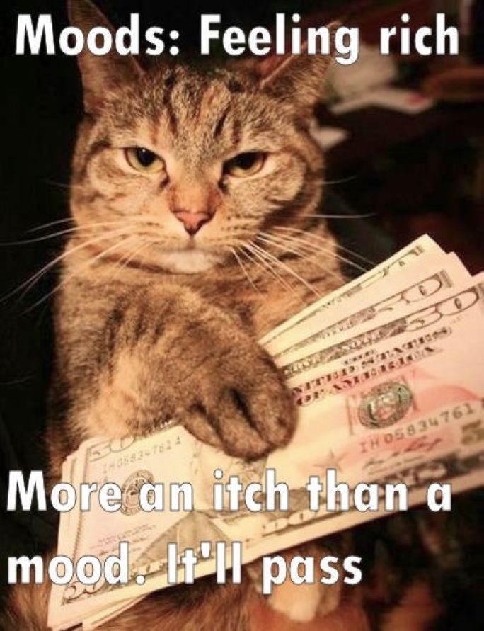 Mood - Lolcats - lol | cat memes | funny cats | funny cat pictures with ...