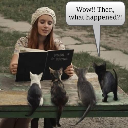 Really into it! - Lolcats - lol | cat memes | funny cats | funny cat ...