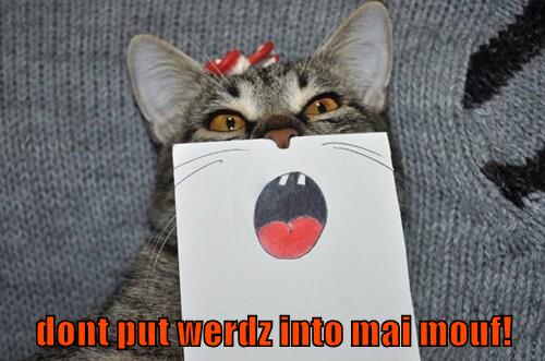 "dont put werdz into mai mouf!" - Lolcats - lol | cat memes | funny ...
