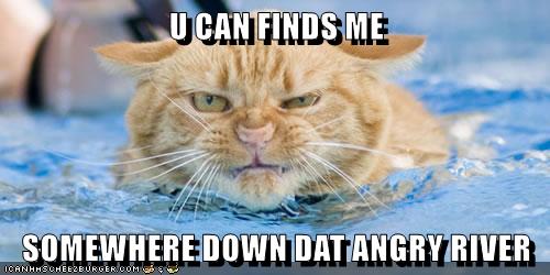 SOMEWHERE DOWN DAT ANGRY RIVER - Lolcats - lol | cat memes | funny cats ...