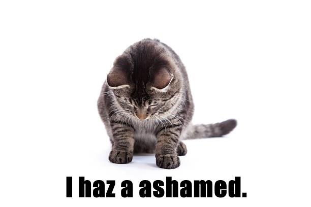 The red dot still eludes me - Lolcats - lol | cat memes | funny cats ...