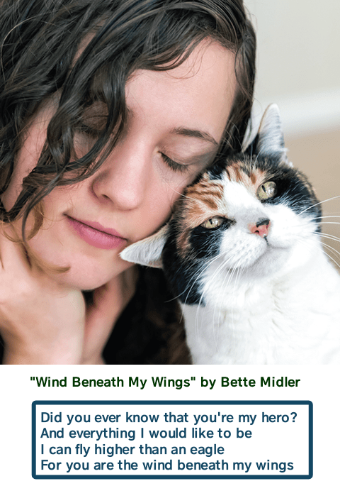 Cats are the best - Lolcats - lol | cat memes | funny cats | funny cat ...