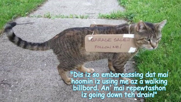 Nelson laments his predicament. - Lolcats - lol | cat memes | funny ...