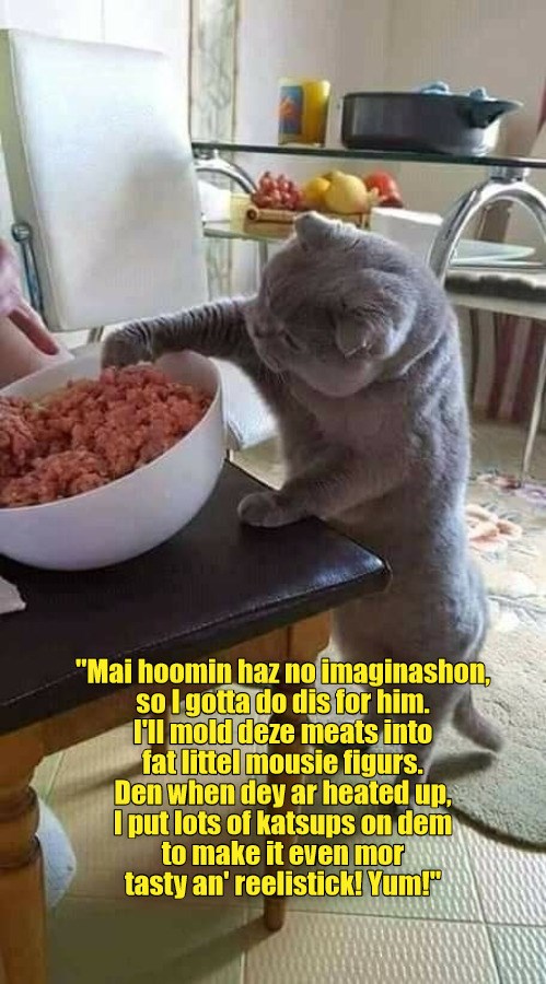 Melvin works his magic in the kitchen! - Lolcats - lol | cat memes ...