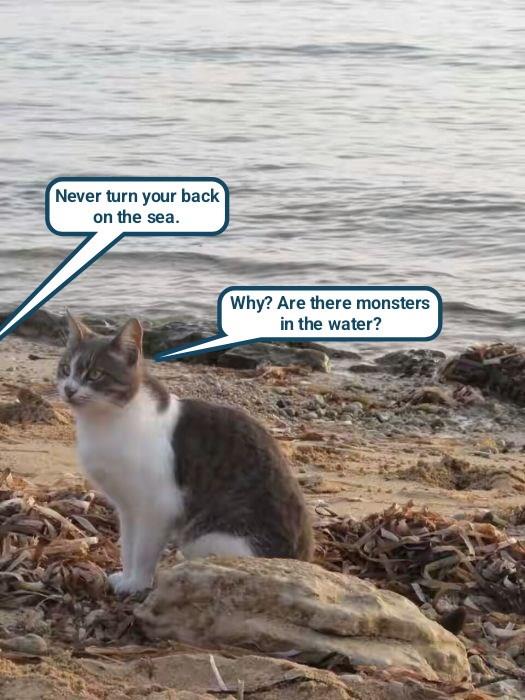 In a manner of speaking, yes - Lolcats - lol | cat memes | funny cats ...